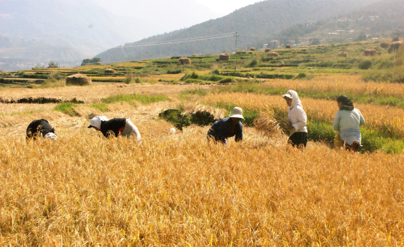 Workshop – Bhutan Jewel Incense Alpha Trader Bhutan